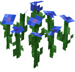 REALISM \\ Fields + Forests | Panascais - Forging realities.